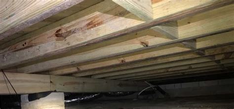 Floor Joists