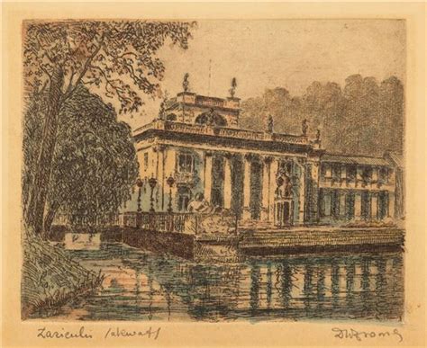 Dariusz Wąsowicz PaŁac Łazienkowski Mutualart