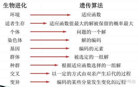 智能优化算法遗传算法 知乎