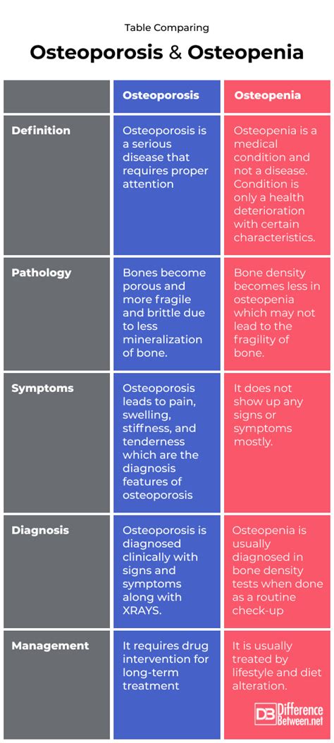 Osteoporosis And Osteopenia Difference Between Osteoporosis Vs