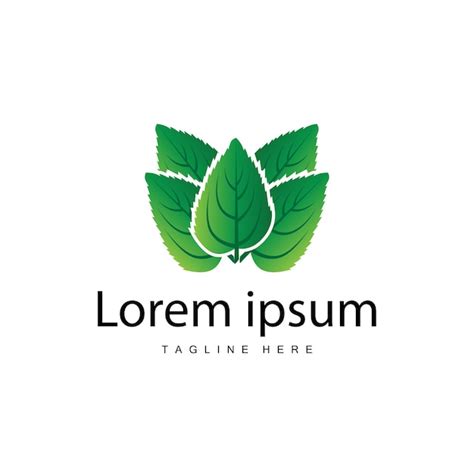 Vector De Logotipo De Hoja Verde Planta Natural Diseño De La Naturaleza