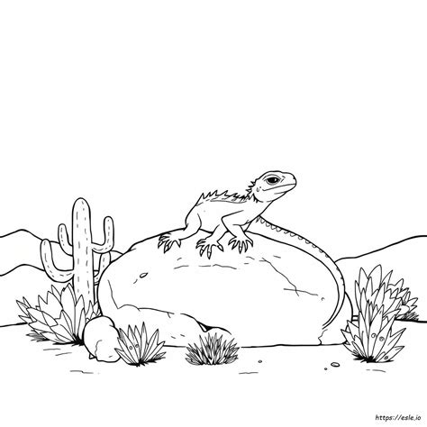 Coloring Page Of A Lizard
