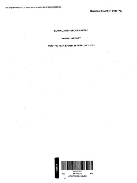 Edwin James Group Limited Companies House Document Pdf Audit Financial Audit