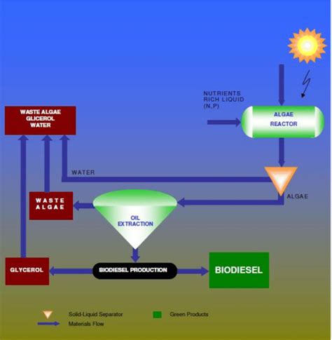 Algal Biodiesel Production Process Hernandez 2010 Download