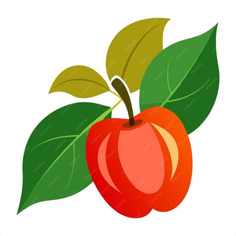 Premium Vector Tropical Fruit Jamaica Caribbean Edible Culinary Recipe Tree Exotic Nutritious