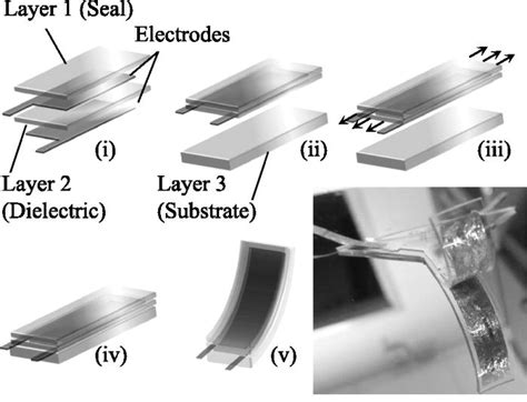 Saddle Like Deformation In A Dielectric Elastomer Actuator Embedded