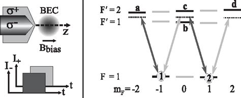 Figure 1 From Sculpting The Vortex State Of A Spinor Bec Semantic Scholar