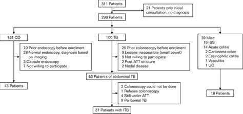 Flow Chart Showing Patient Recruitment Tb Tuberculosis Att