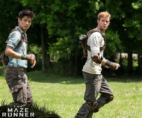 Only Runners Can Go Into The Maze Maze Runner Movie Maze Runner Trilogy Maze Runner