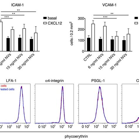 Asc Nvs Inhibit Activated T Cell Integrin Dependent Adhesion In Vitro