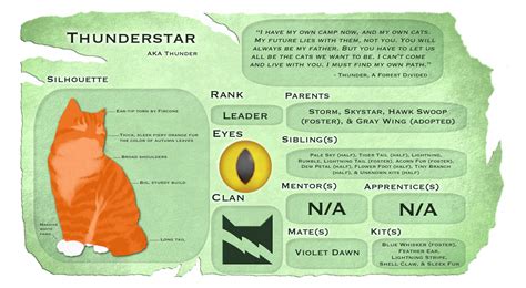 Dawn Of The Clans Written And Visual Guide Warrior Cats