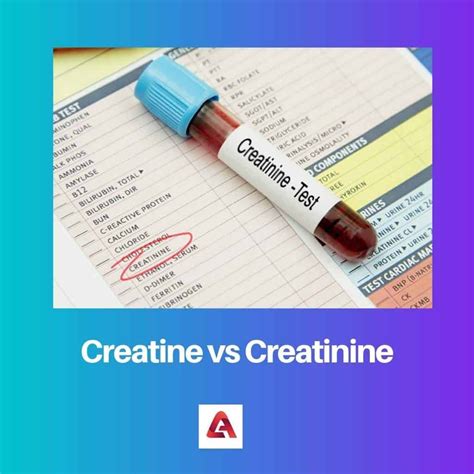 Creatine And Ketones At Linda Platt Blog