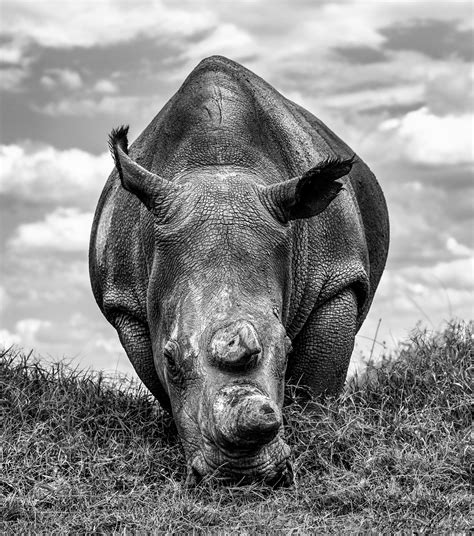 Olli Elf • Photographer