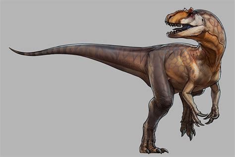 Allosaurus Dinosaur Illustration