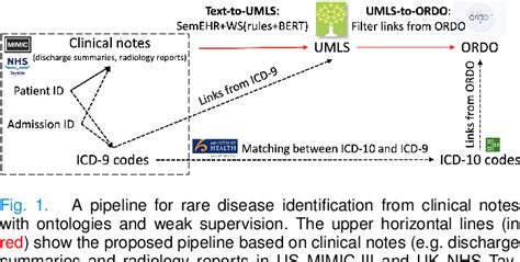 Figure 1 From Ontology Based And Weakly Supervised Rare Disease Phenotyping From Clinical Notes