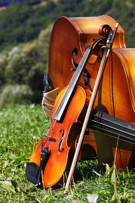 Classical Music Violin And Cello At Scott Sommer Blog