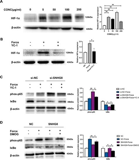 Naturethink压力培养压力刺激压应力机械压应力细胞压力加载细胞体外加力系统细胞低压力、细胞正压力仿生压力细胞培养仪 Powered By Openwbs