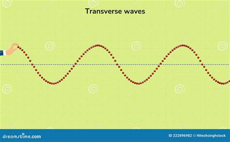 Transverse Wave Animation Travelling Waves