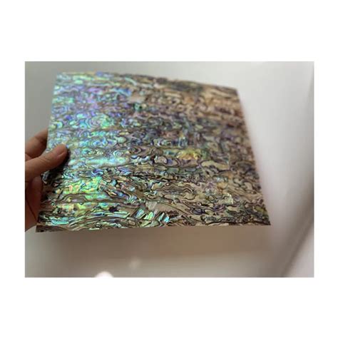 Wholesale New Zealand Abalone Shell Sheet Mother Of Pearl Shell Sheet With Mixed Colors For Art