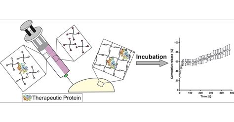 Injectable Anhydrous Poly Ethylene Glycol Polymer Liquids Form Protein Depot For Extended