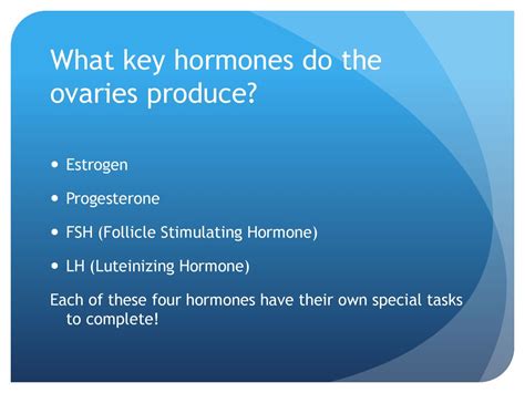 Both A Reproductive Organ And An Endocrine Gland Ppt Download