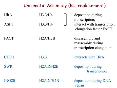 Ppt Chromatin Assembly Powerpoint Presentation Free Download Id