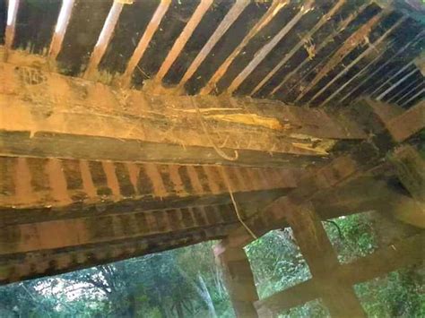 Piden Reparar Puente De Madera Que Colapsó Y Dejó Aislada A Comunidades