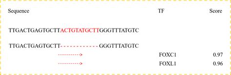 Bioinformatics Predict Transcription Factor Binding Sites On The Bovine Download Scientific