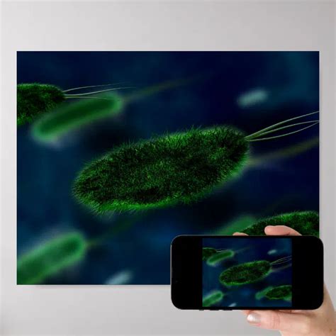 Bacteria Microbes Poster Zazzle