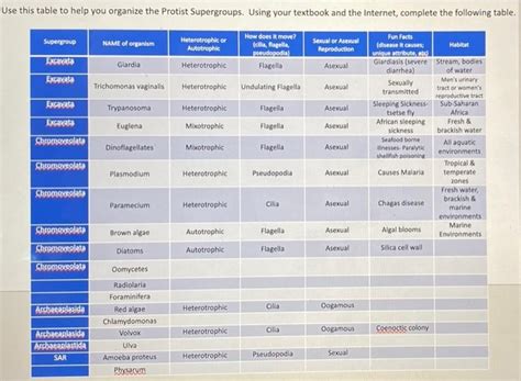 Solved Use This Table To Help You Organize The Protist