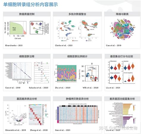 “多组学 实验”助力基础科研 知乎