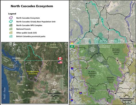 The North Cascades Ecosystem Is Administered As A Grizzly Bear Recovery Download Scientific