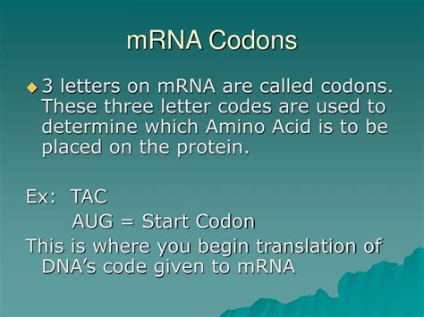 Ppt Protein Synthesis Powerpoint Presentation Free Download Id 3147979