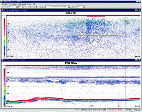 Plankton Layer Detected By Ek60 Installed In Must Courtesy Imr