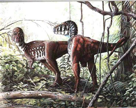 Mundo Terópodo Dinoficha Nanotyrannus Lancensis
