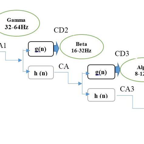 sample dwt decomposition model for eeg signal of 64hz sample frequency