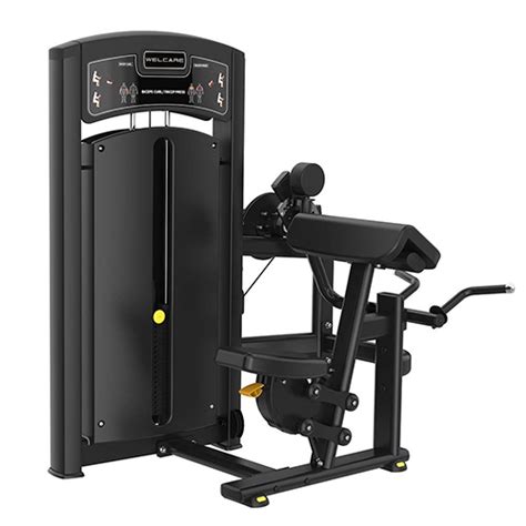 En 006 Biceps Triceps Machine Application Gain Strength At Best Price In Coimbatore S And T