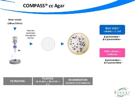 Compass Cc Agar Presentation Agar Compass Cc Method