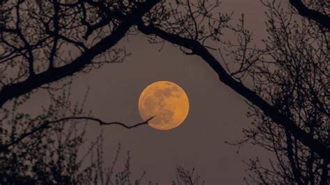 Hot Apple Cider And Candy Corn On Tumblr