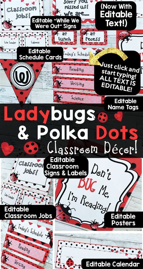 Ladybug Classroom Decor Editable Classroom Classroom Decor