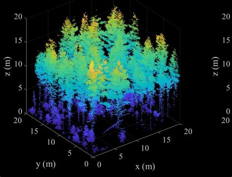 The Holy Grail Of Forest Variables Is About To Be Discovered Thanks