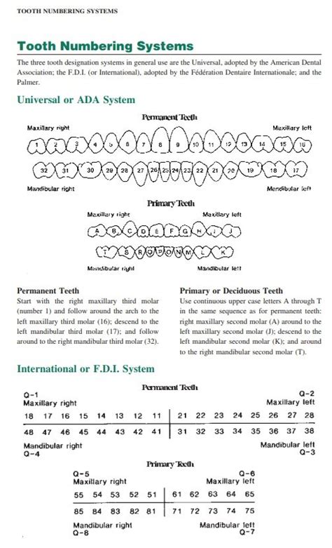 Free Dental Chart Forms Pdf Ppt Templatedata