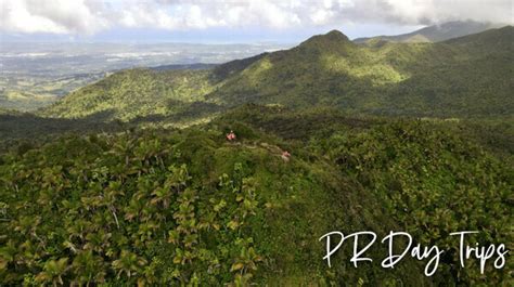 Hike El Toro Trail To The Highest Point In The Rain Forest Prdaytrips