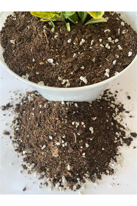 Erdönmez Peyzaj Perlit Karışımlı Orman Torfu 3 Litre İç Mekan Dış Mekan Bitki Torfu