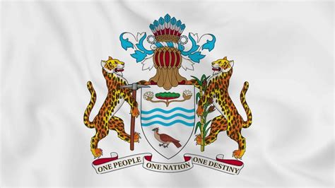 Armoiries De Lemblème National Ou Symbole De La Guyane En Agitant Le