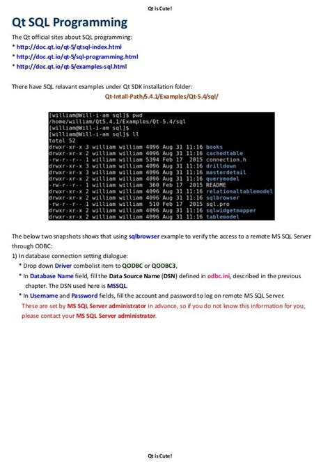 usage note of qt odbc database access on linux