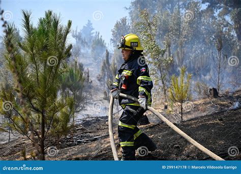 Firefighter Woman And Elmo In Sesame Street Party Parade At Seaworld