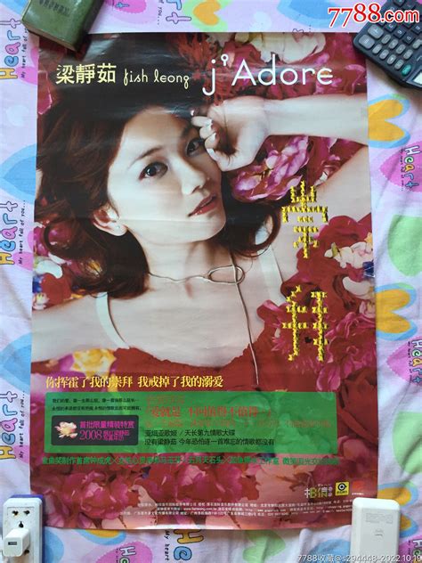梁静茹（崇拜）2008元年专辑宣传海报755x52cm有折痕明星海报靓牛牛之家【7788收藏】
