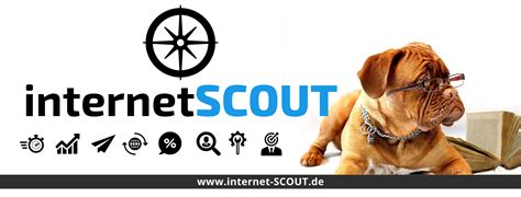 Internet Scout
