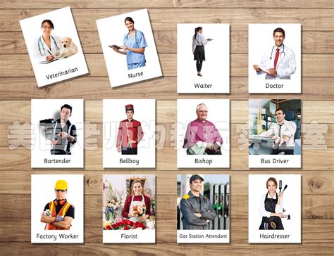 职业英语单词图英语单词图英语单词树状图第7页大山谷图库